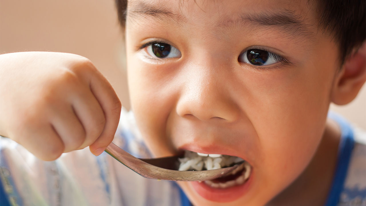 Healthy Food Groups Preschoolers Raising Children Network Healthy Food Groups Preschoolers Raising Children Network